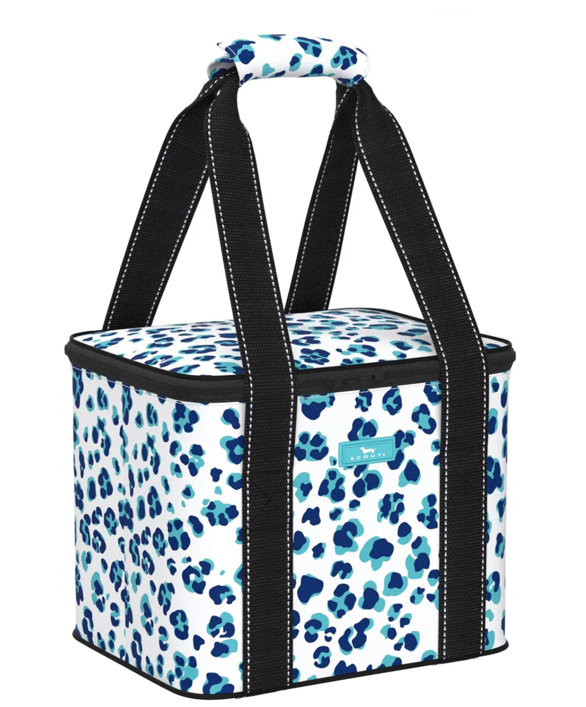 Scout Deep Dish- Cool Cat – The Cottage Basket